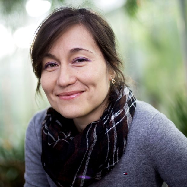 El alto costo de la desregulación en el uso de plaguicidas - CIPER Chile