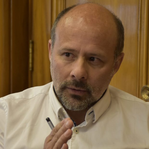 Otro marco forestal: del 701 a territorios multifuncionales - CIPER Chile