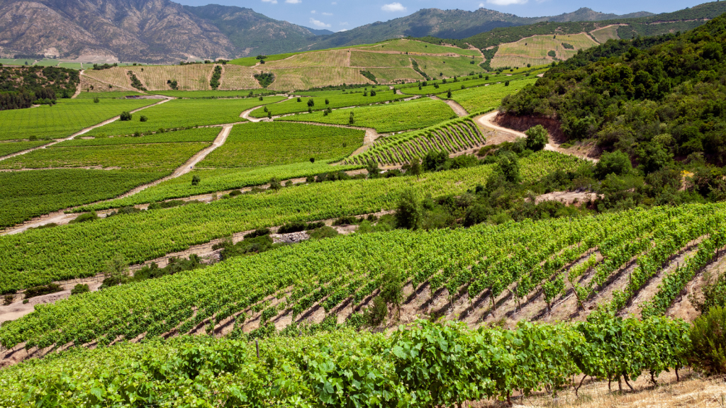 Corte Suprema: El nuevo campo de batalla por los megaloteos rurales ...