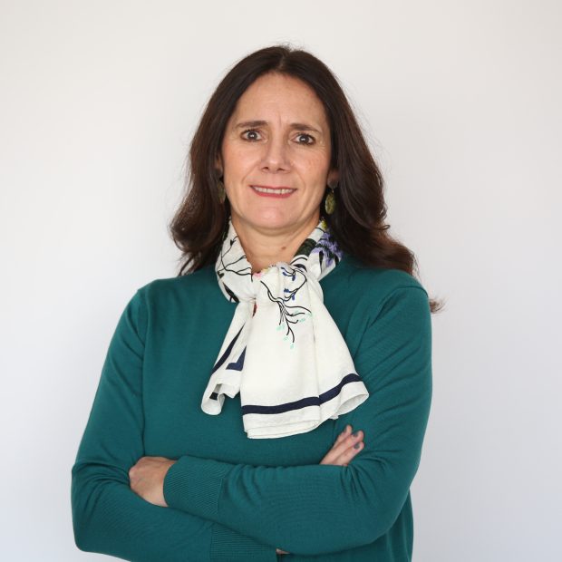 El vínculo entre el caso Huachipato y los compromisos climáticos ...