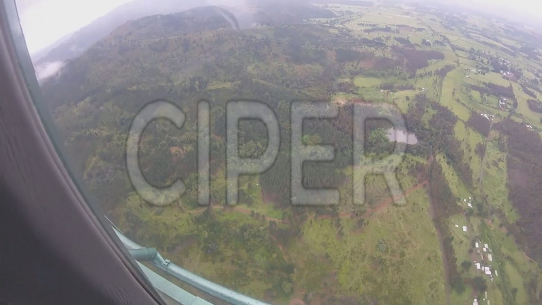 Pablo Basadre G., autor en CIPER Chile